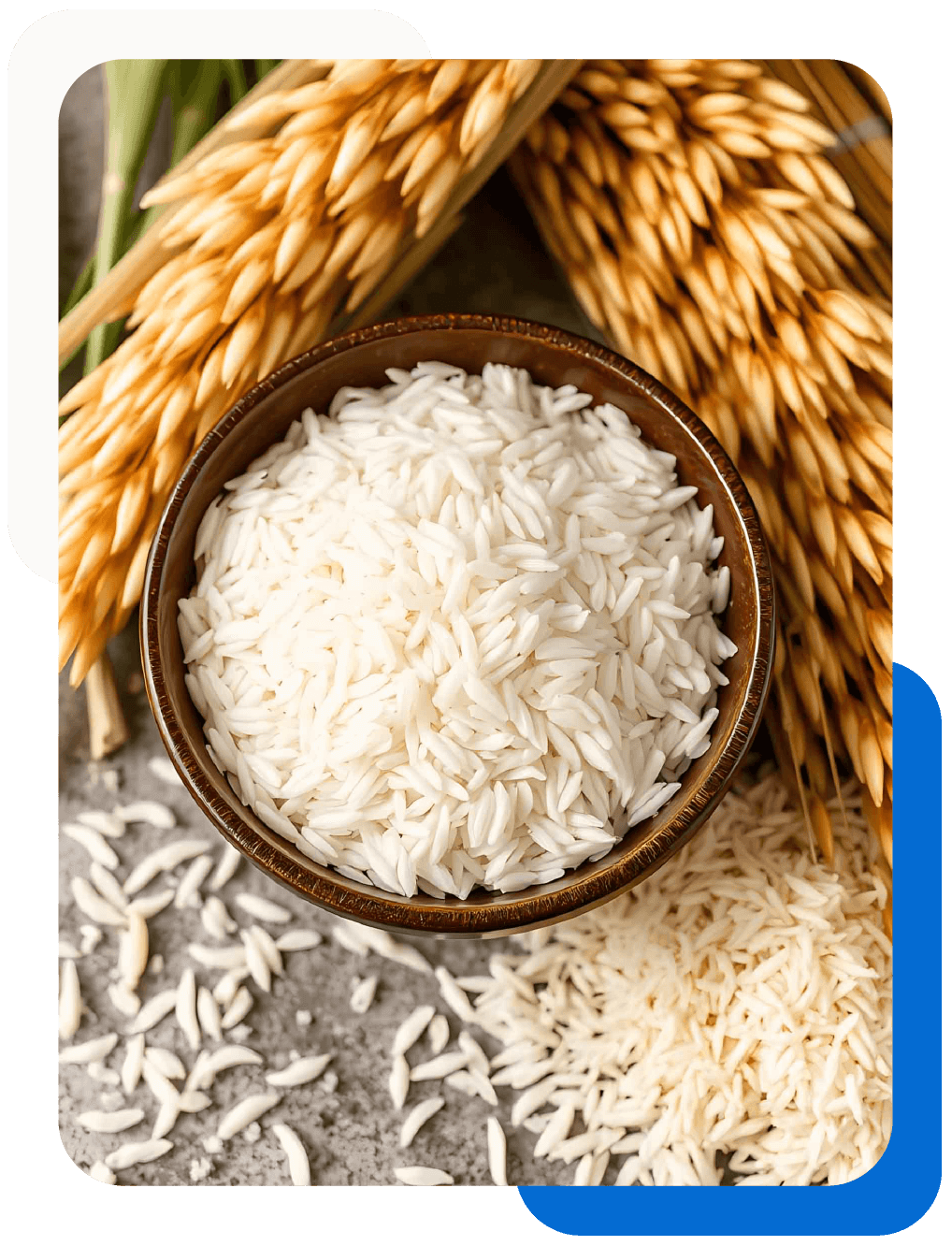 About Us | Capital Business Alliance - Pakistani Rice Exporter